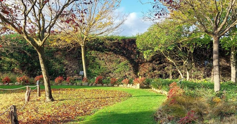 Aventura Otoñal en el Jardín Botánico de La Rioja